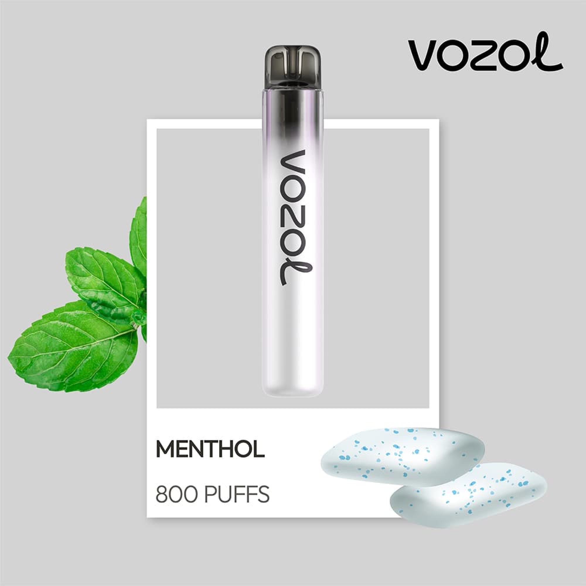 Vozol Neon 800 Vape μιας χρήσης 2ml 2 Mg 800 Puffs Menthol 4027